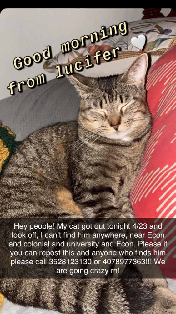 Freaky Good Morning Memes Most Funniest Flirty Good Morning Memes For